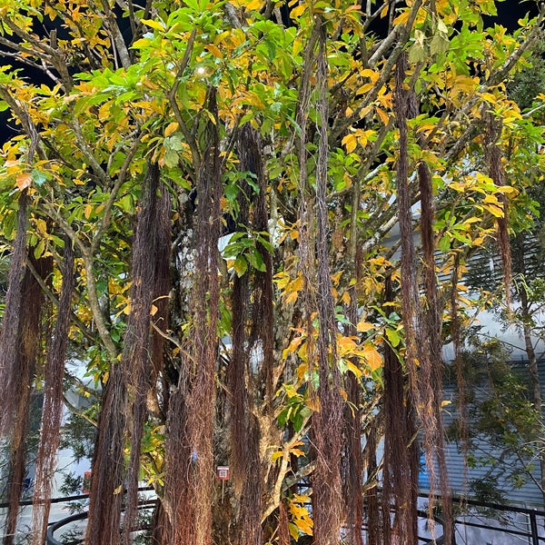 Photos at IMPACT Challenger Hall 1 (อิมแพ็ค ชาเลนเจอร์ อาคาร 1) - 21 ...