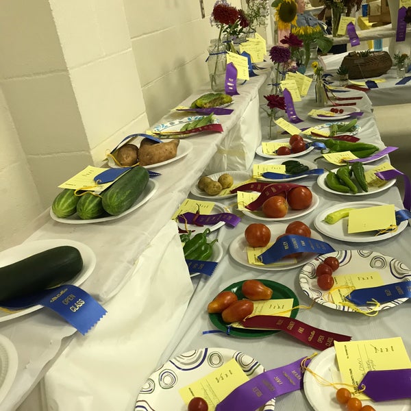 Pottorf Hall - Cico Park - Avery Ave