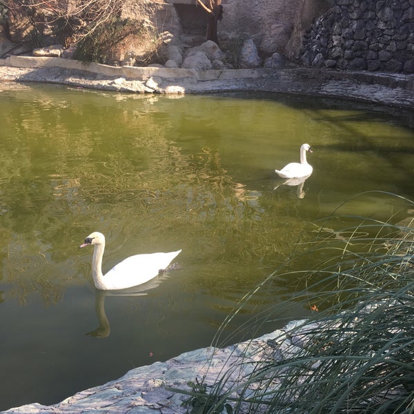 Photos at Tehran Zoo | باغ وحش تهران - منطقه ۵ - Eram Park
