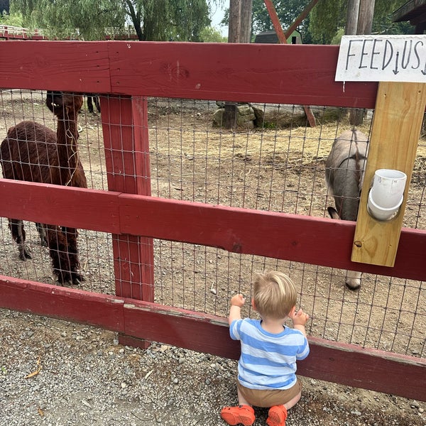 Silverman's Apple Farm - Farm in Easton