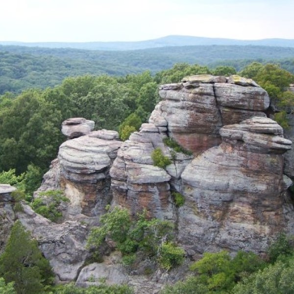 Shawnee National Forest - Forest in Simpson