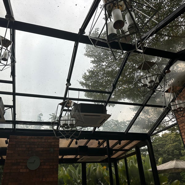 Pokok Cafe - Mahsa Avenue