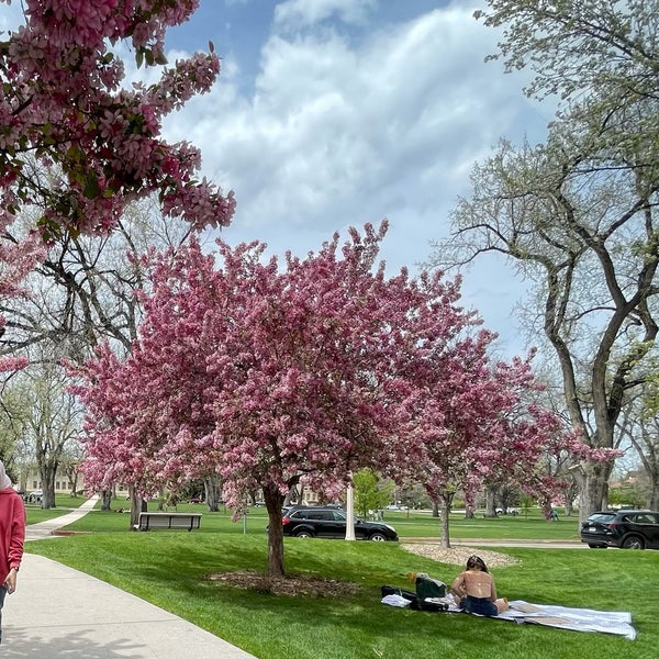 CSU Oval - Fort Collins, CO