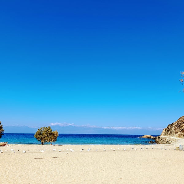 Sarakiniko Gavdos - Beach