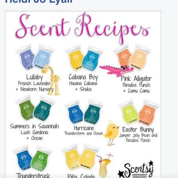 Wicklessmolly ~ Independent Scentsy Family Super Star Director - Sioux ...