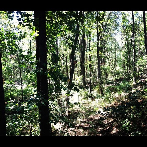 Photos at Lee District Park - Alexandria, VA