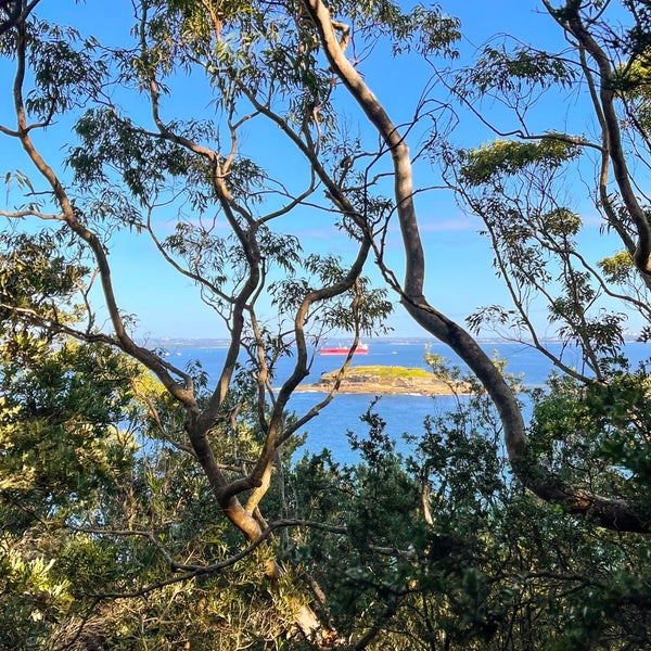 La Perouse to Henry Head Walk - Hiking Trail in La Perouse