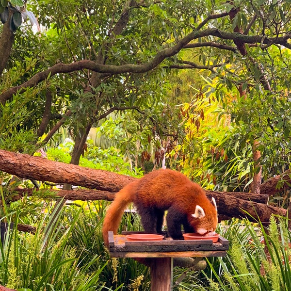 Photos at Symbio Wildlife Park - Zoo