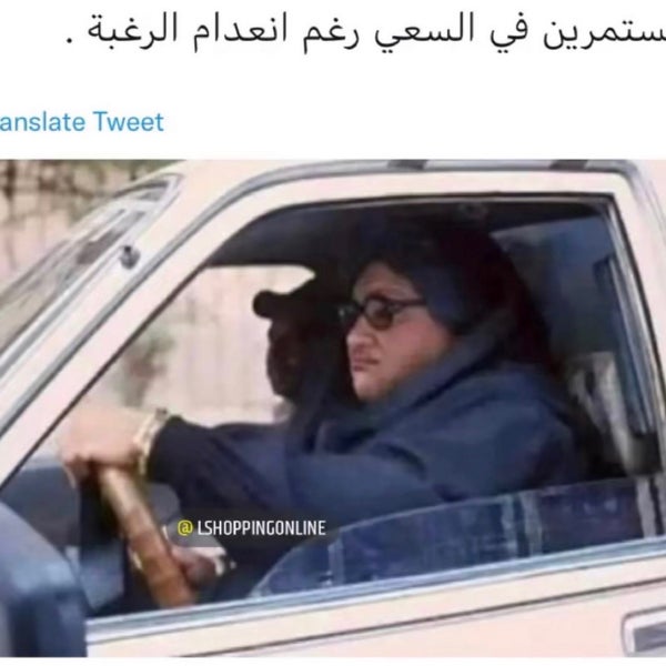 Saudi Consulting Services - SAUD CONSULT - السليمانية - P.O. Box 2341