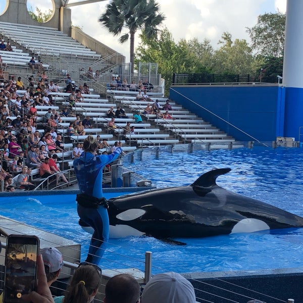 Photos at Shamu Stadium - Sea World Theme Park - SeaWorld
