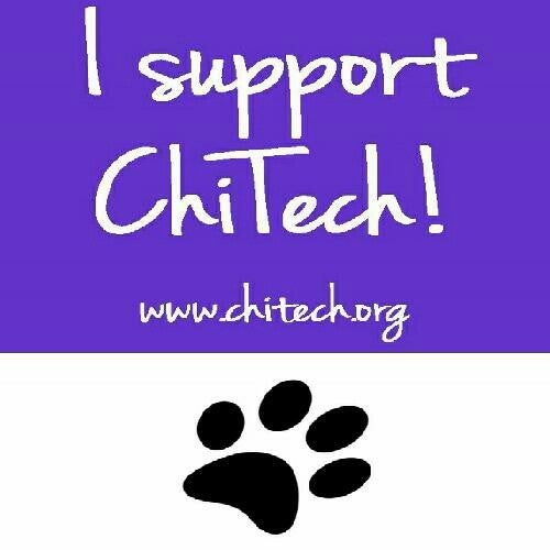 Chicago Tech Academy High School - University Village - Little Italy ...