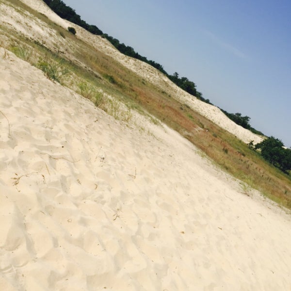 Pădurea Letea - Letea