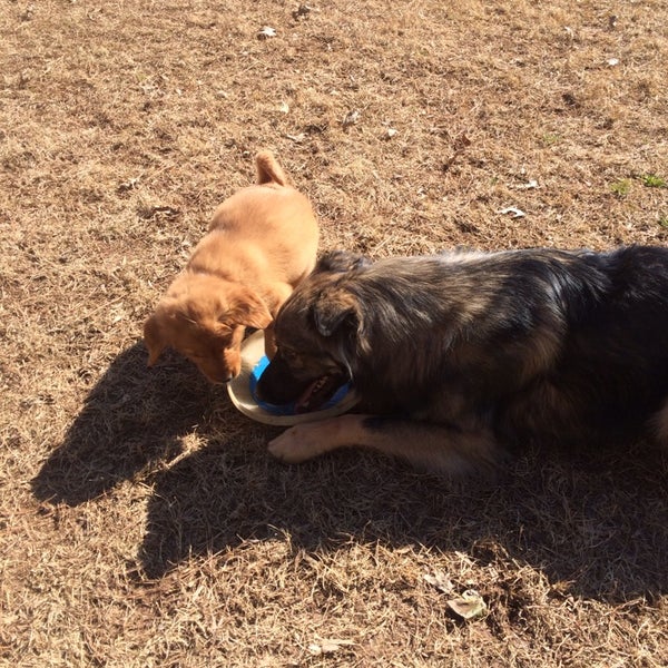 Photos at Jaycee Park & Community Center - Park