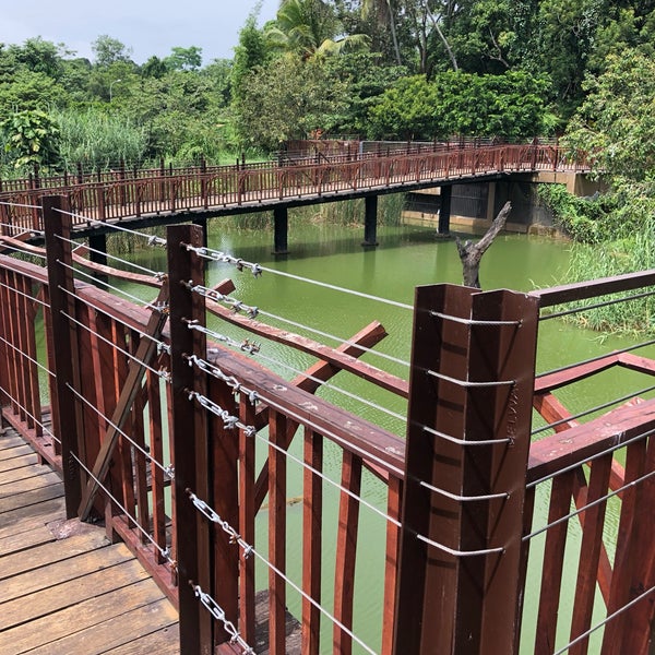 Pinnawala Zoo - Zoo Exhibit