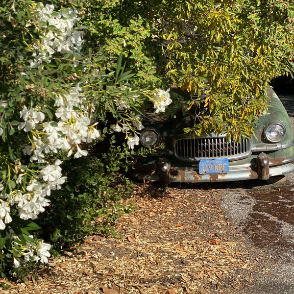 Palo Alto Community Donkey Corral - Barron Park - 3 tips