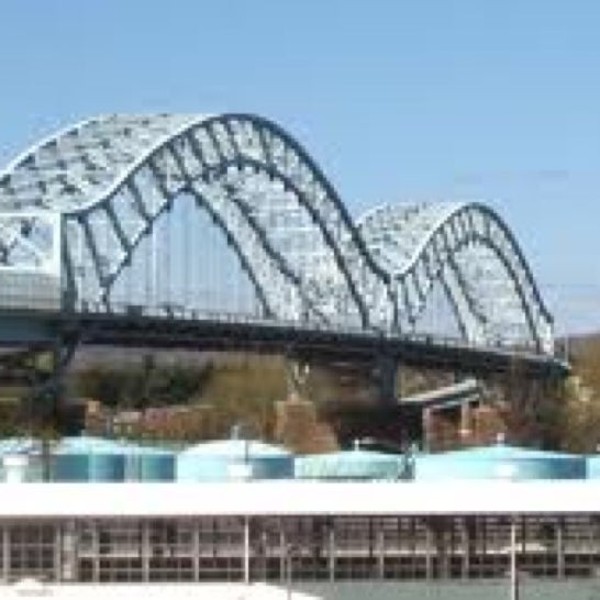 Arrigoni Bridge - 2 tips from 875 visitors