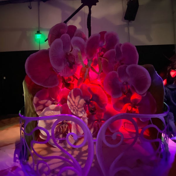 Bugs Exhibit - Golden Gate Park - San Francisco, CA