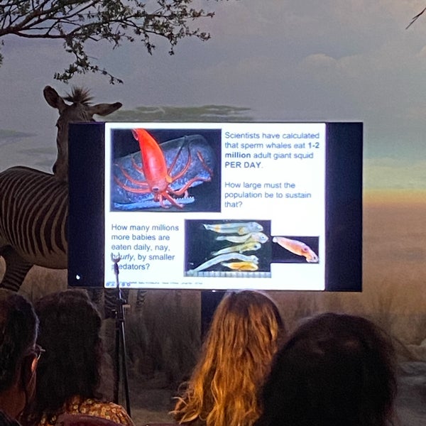 Morrison Planetarium - Golden Gate Park - 29 tips from 3520 visitors