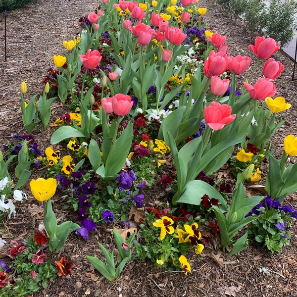 Reynolda Gardens - Winston-Salem, NC