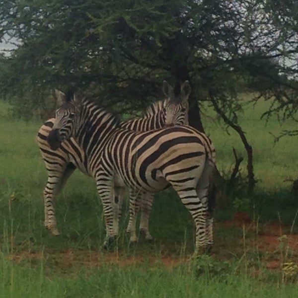 Zebula Golf & Spa Resort - Golf Course