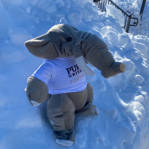 Neff Hall - 2101 E Coliseum Blvd