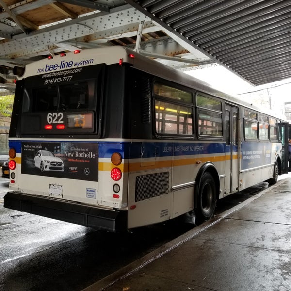 Bee-Line & CT Transit Bus: (Routes 13/61/311/311B) - 16 visitors