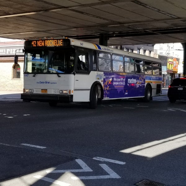the bee-line system Bus Stop - White Plains Rd & St Ouen St (40, 41, 42 ...
