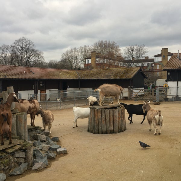 Photos at Surrey Docks City Farm - Farm in Surrey Docks