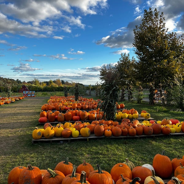 Tougas Family Farm - 27 tips from 1357 visitors