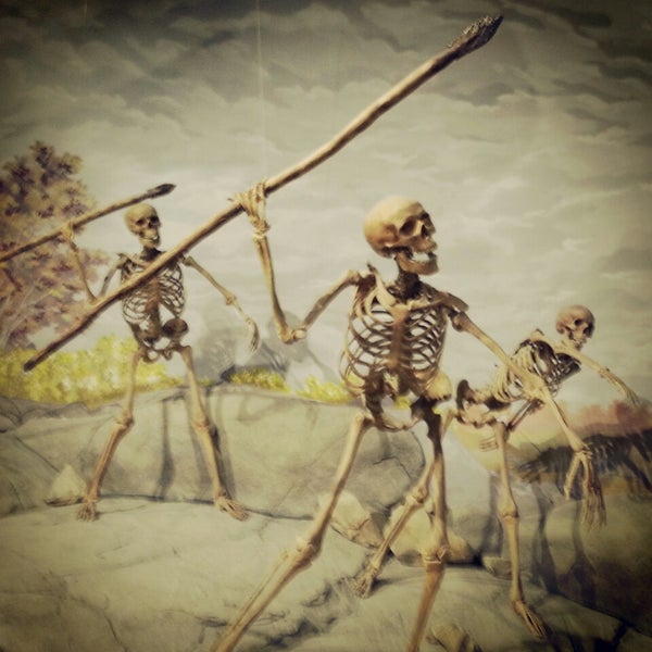 Museum of Ancient Life - 23 tips