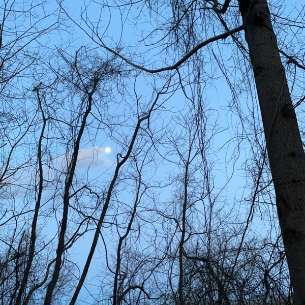 Chain Dam Fish Passage - Easton, PA