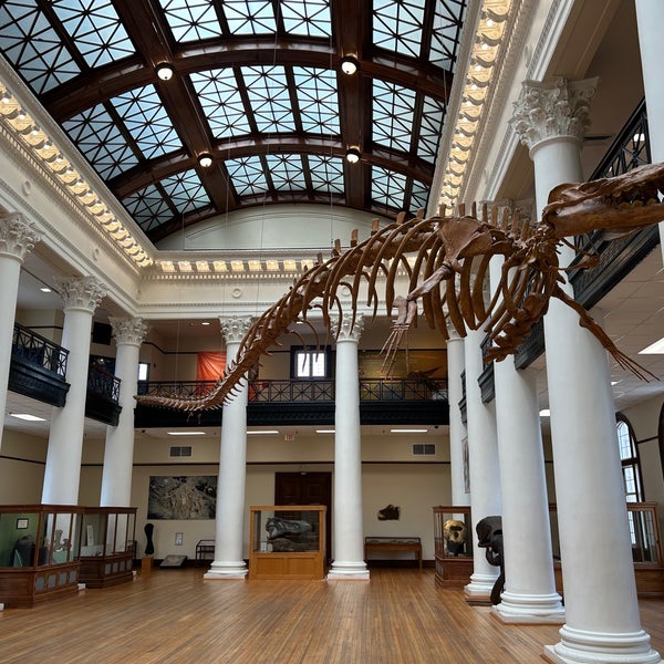 The Alabama Museum of Natural History - 4 tips from 108 visitors