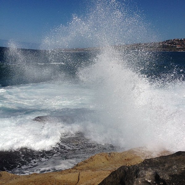 Clovelly Beach - Sydney, NSW
