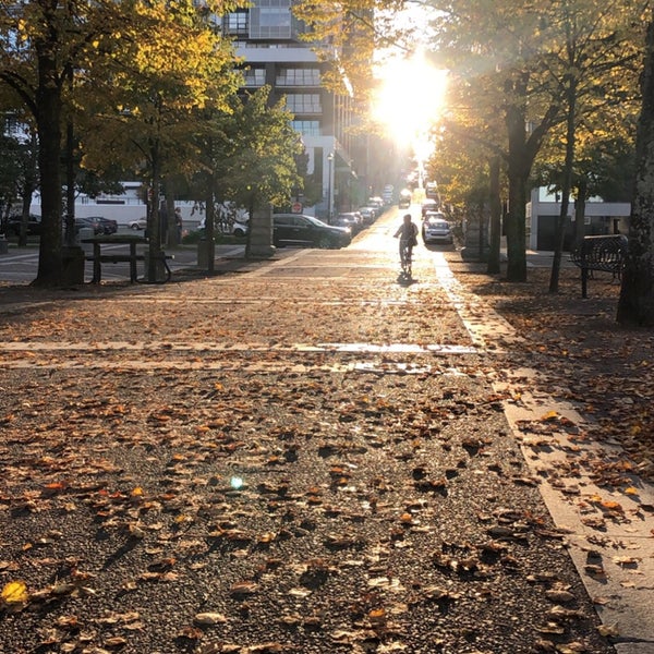 The Waterfront Wave - Downtown Halifax - 5 tips from 380 visitors