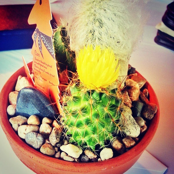 Ted Fritsch Park - Park