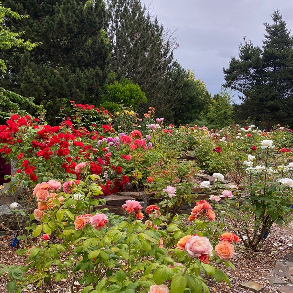 Seattle Chinese Garden - Delridge - 6000 16th Ave SW
