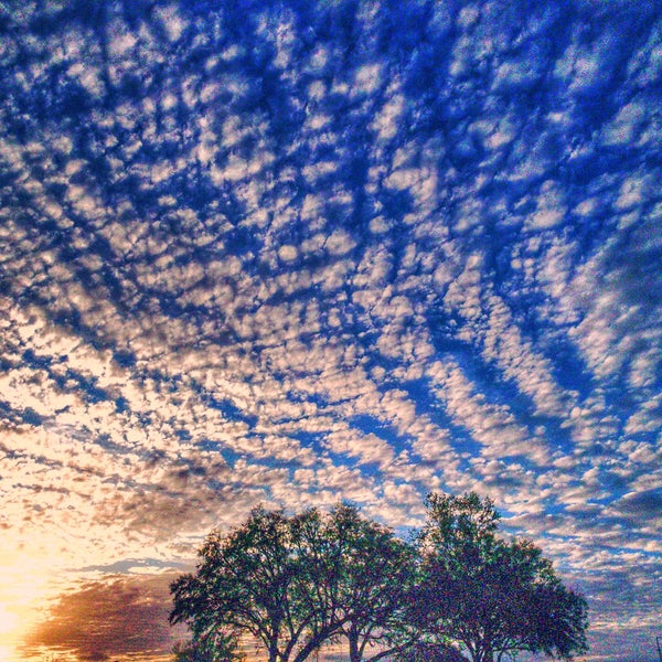 Hal Brady Recreation Complex - Park