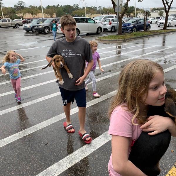 PetSmart - 15 tips from 925 visitors