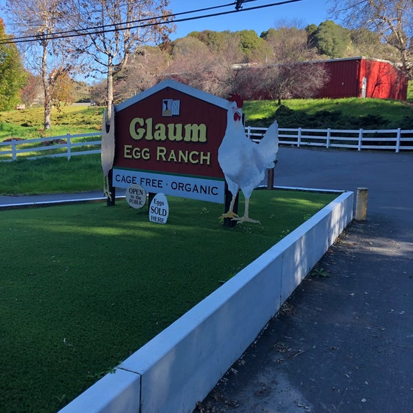 Photos at Glaum Egg Ranch - Farm in Aptos