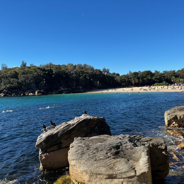 Shelly Beach - Beach