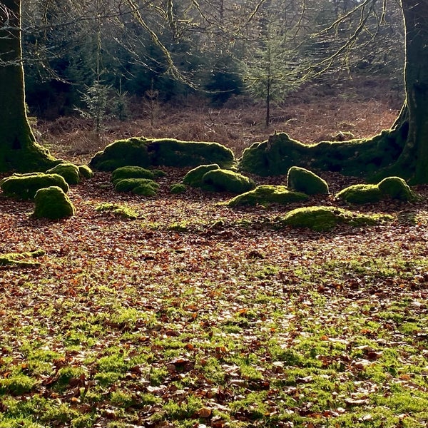 Burrator Reservoir - Yelverton, Devon