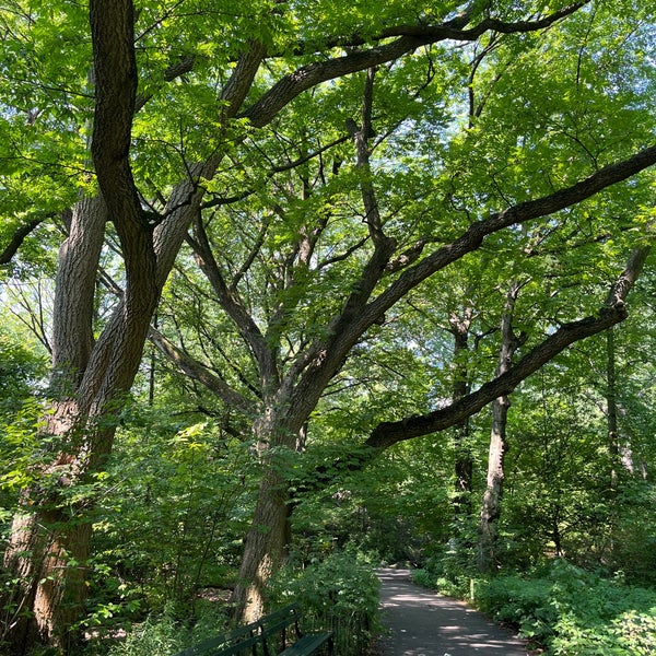 Photos at The Ramble - Central Park - New York, NY