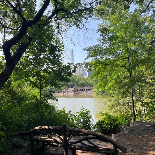 Photos at The Ramble - Central Park - New York, NY