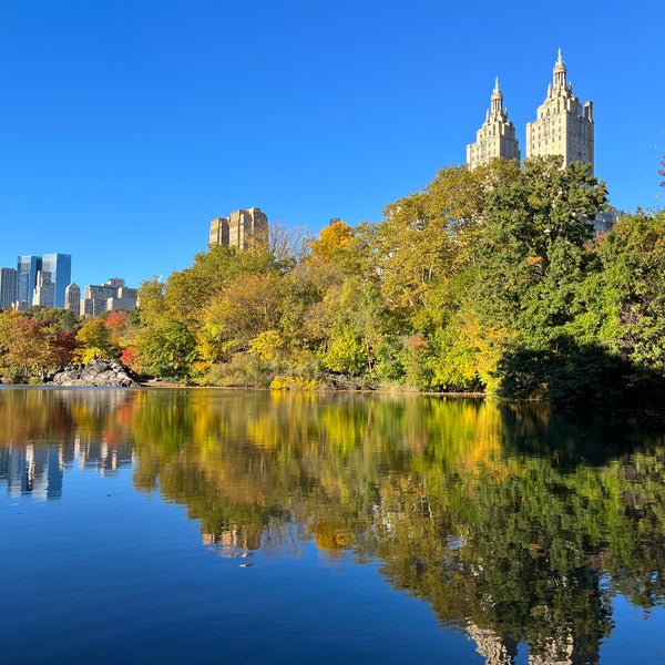Photos at The Ramble - Central Park - New York, NY