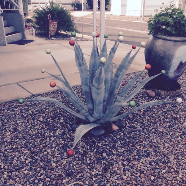 Silveridge RV Resort - Trailer Park in Mesa