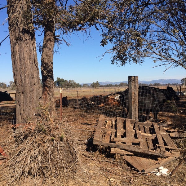 Matos Cheese Factory - Cheese Store