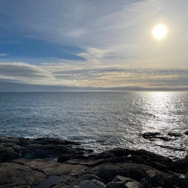 Macaulay Point Park - Dog Park