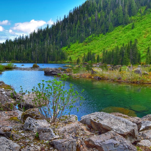 Heather Lake Trail (Now Closed) - Arlington, WA