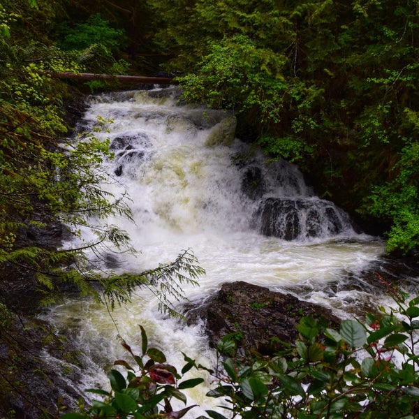 Wallace Falls: Middle Falls - 1 tip from 137 visitors