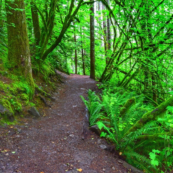 Photos at Exit 38 - Deception Crags Climbing Area - North Bend, WA